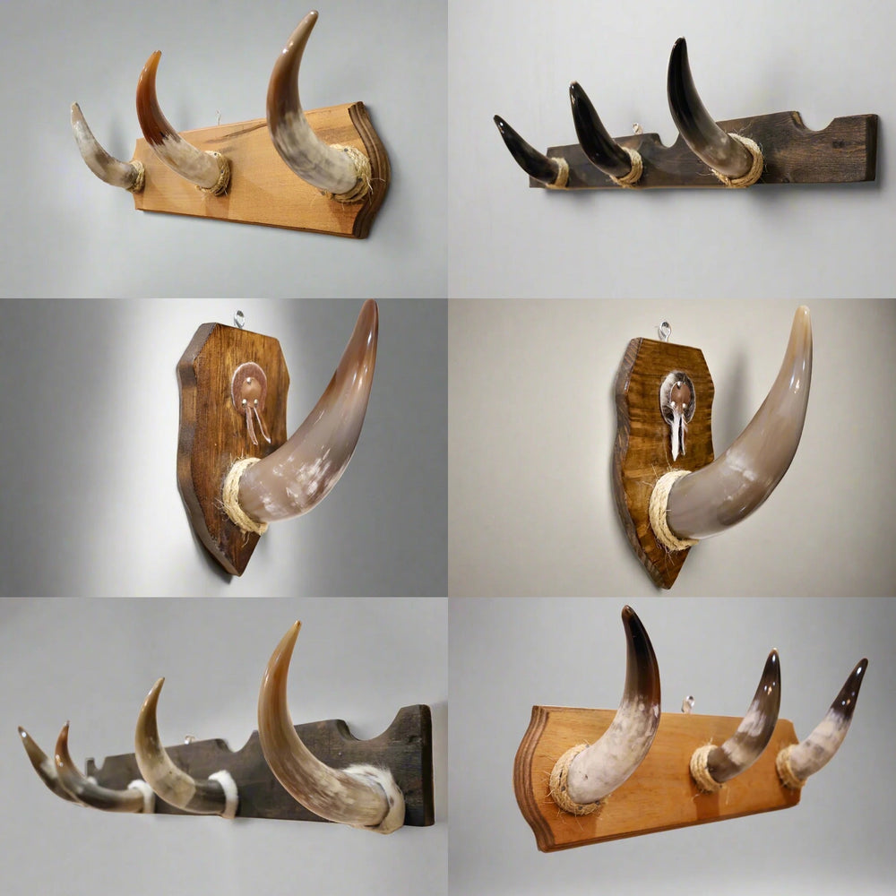 Frontier Horns - Genuine Steer Mounted Horns