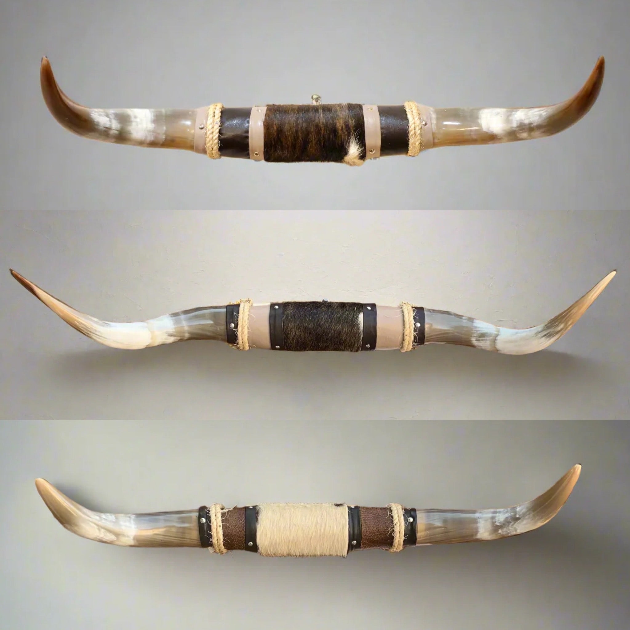 Frontier Horns - Genuine Steer Mounted Horns