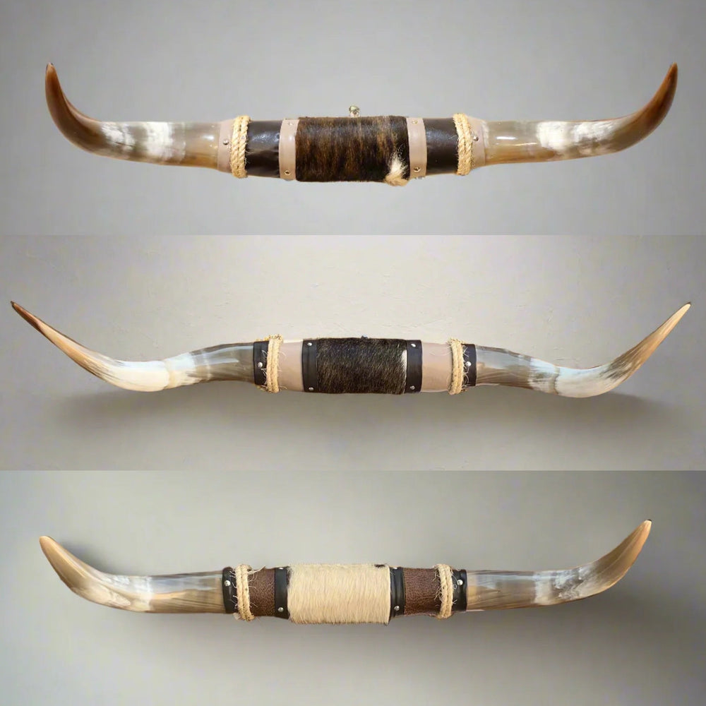 Frontier Horns - Genuine Steer Mounted Horns