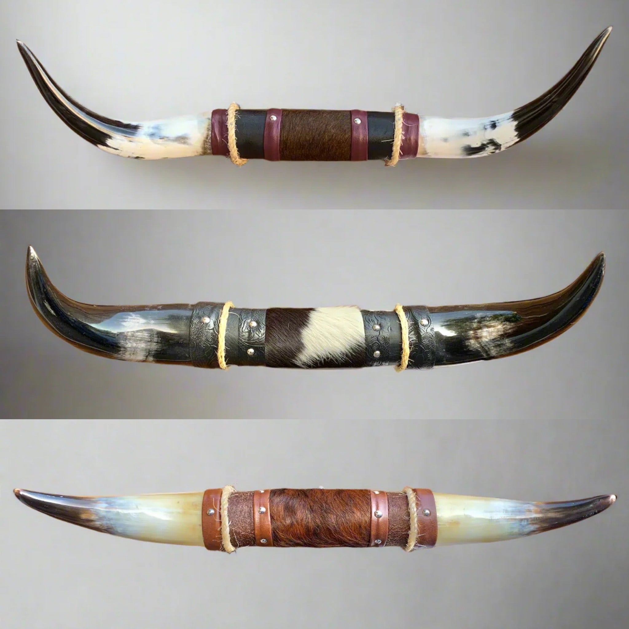 Frontier Horns - Genuine Steer Mounted Horns