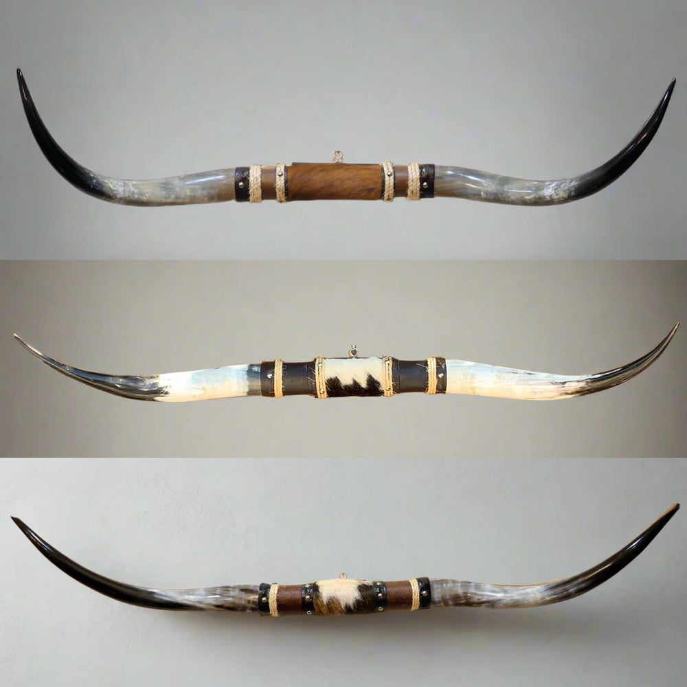 Frontier Horns - Genuine Steer Mounted Horns