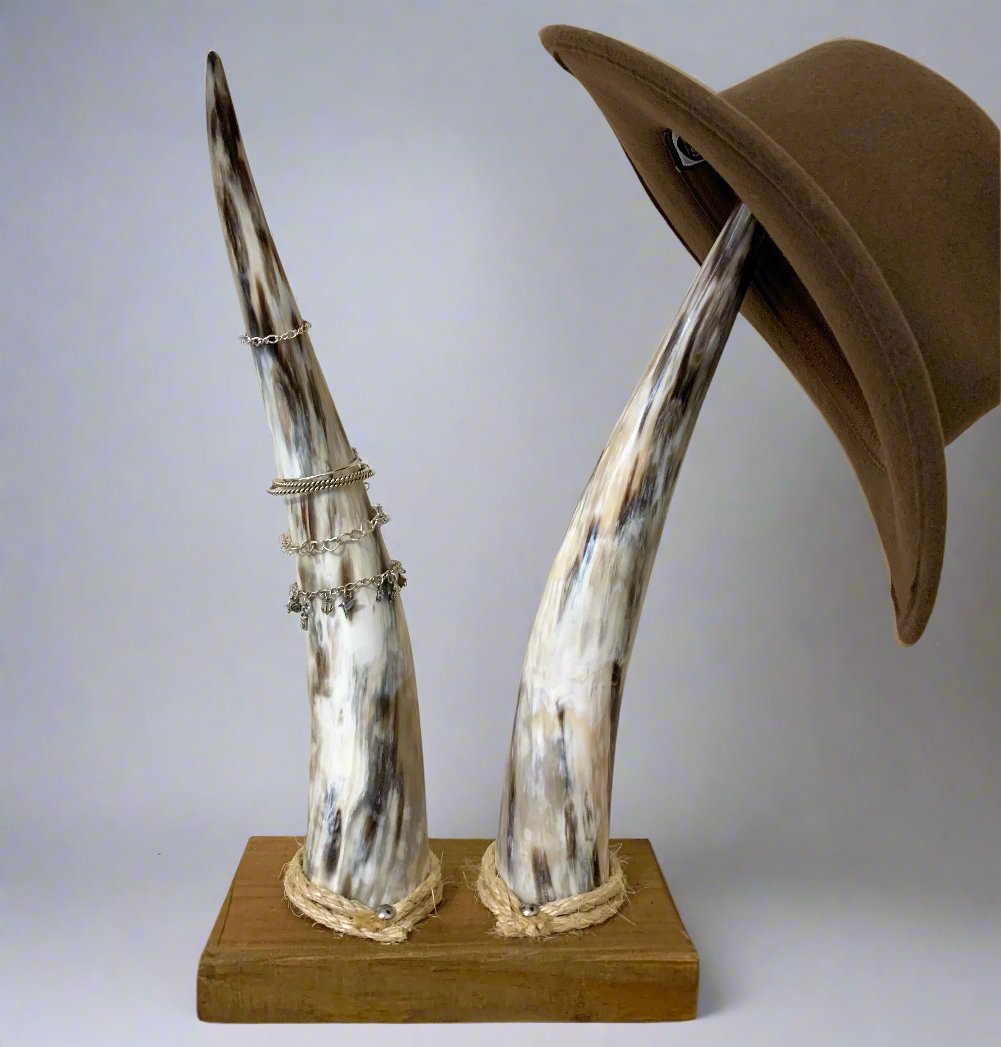 Frontier Horns - Genuine Steer Mounted Horns