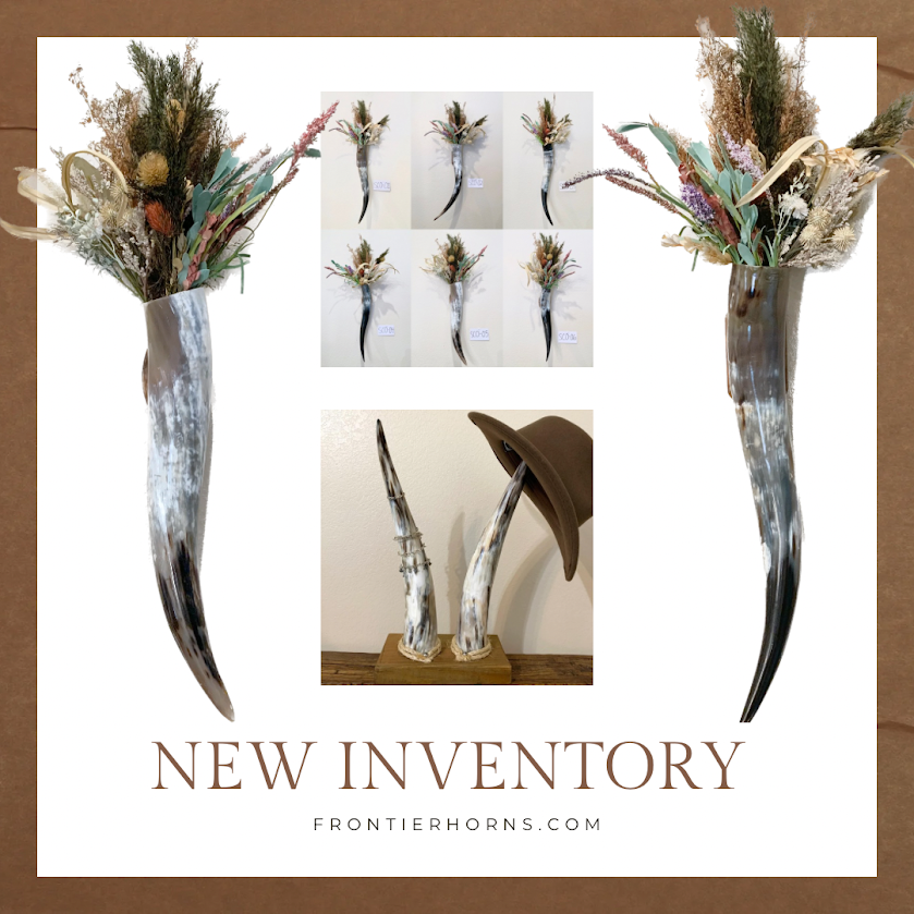 Frontier Horns - Genuine Steer Mounted Horns