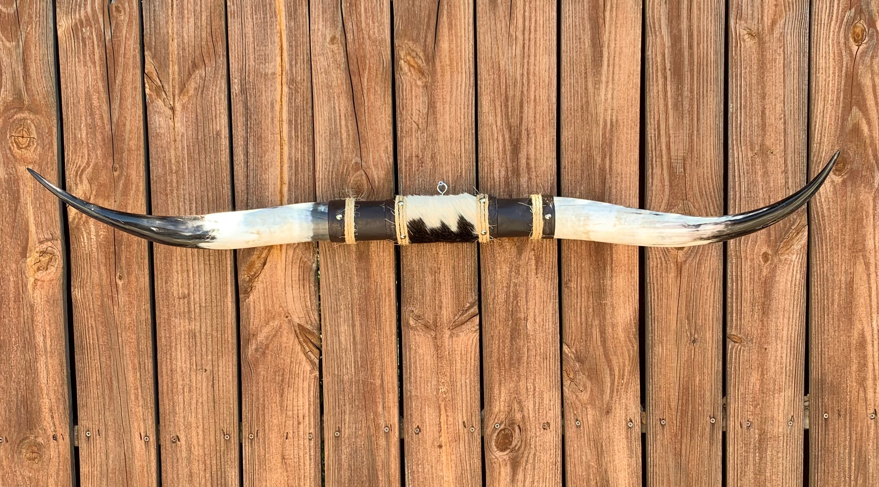 Mounted Steer Horns (48") – Frontier Horns