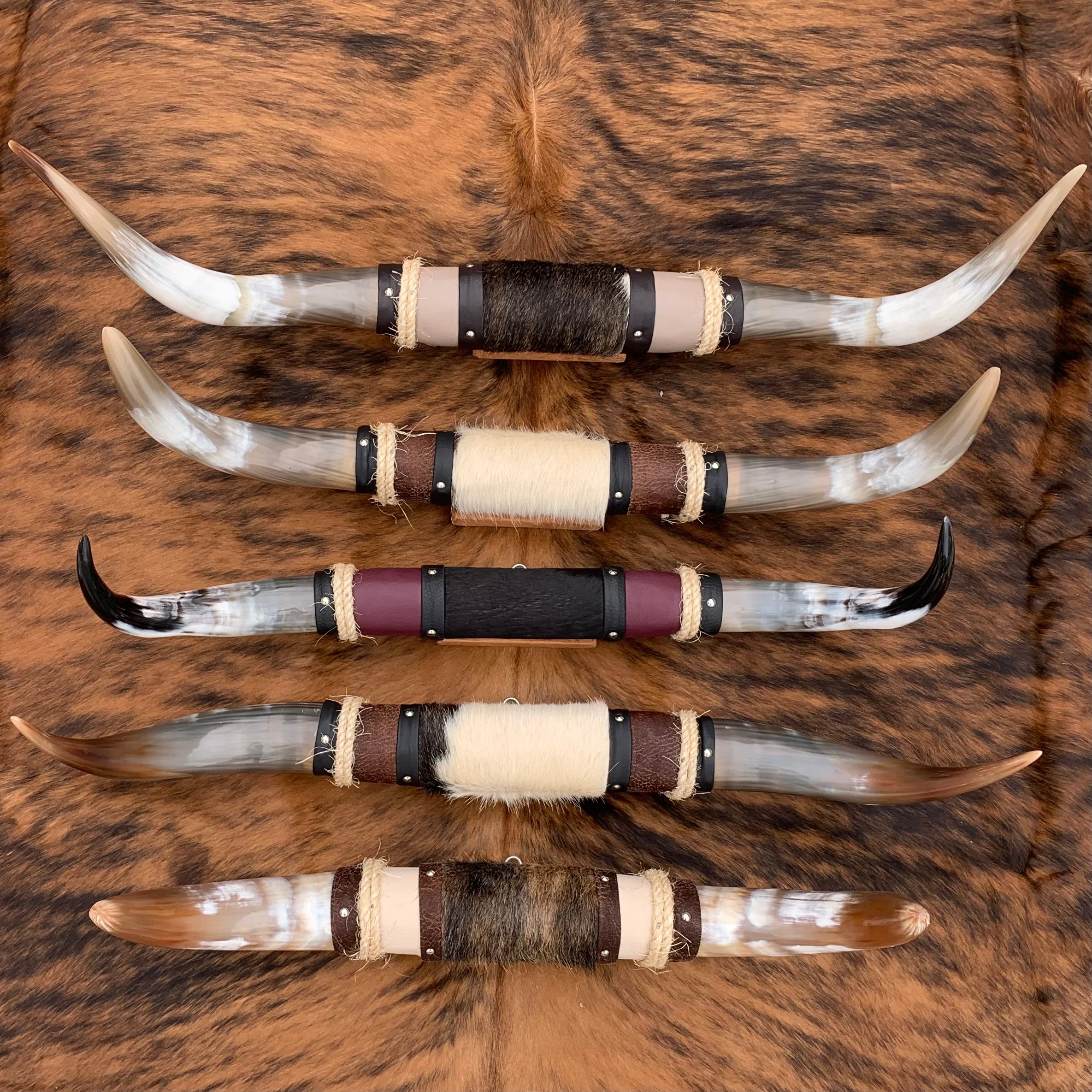 Frontier Horns - Genuine Steer Mounted Horns