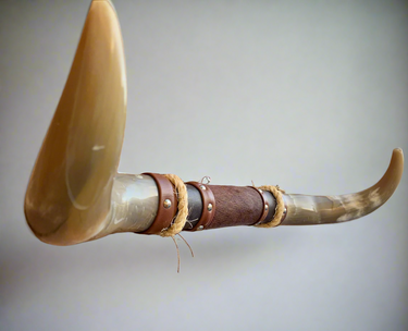 Frontier Horns - Genuine Steer Mounted Horns