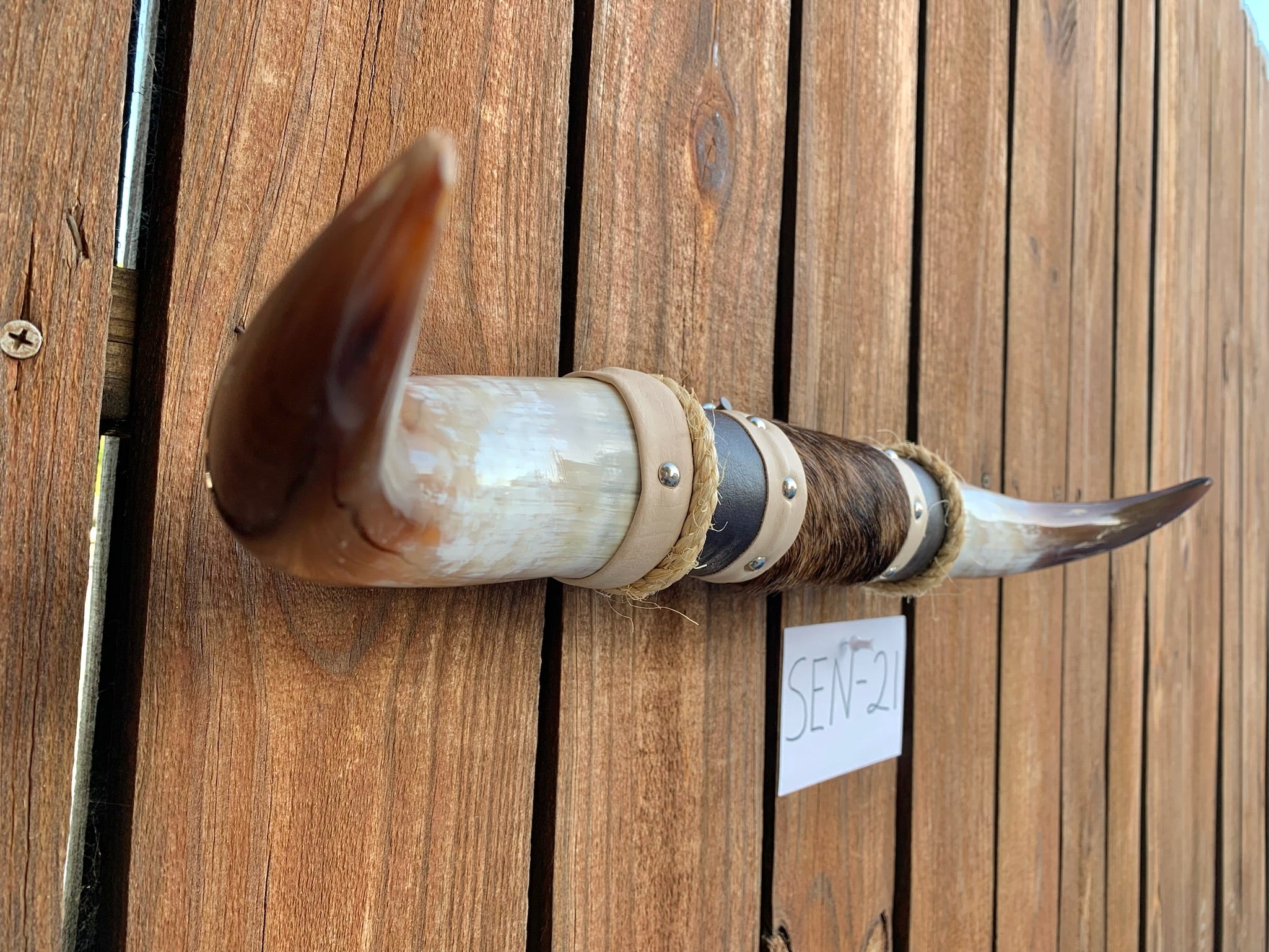 Mounted Steer Horns (22") – Frontier Horns